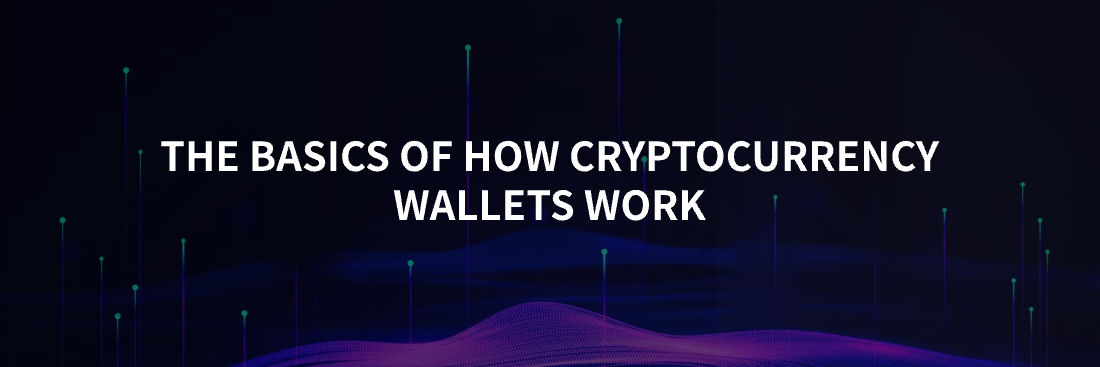 Cryptocurrency Wallets: Ensuring the Security of Your Digital Assets – ELLIPAL